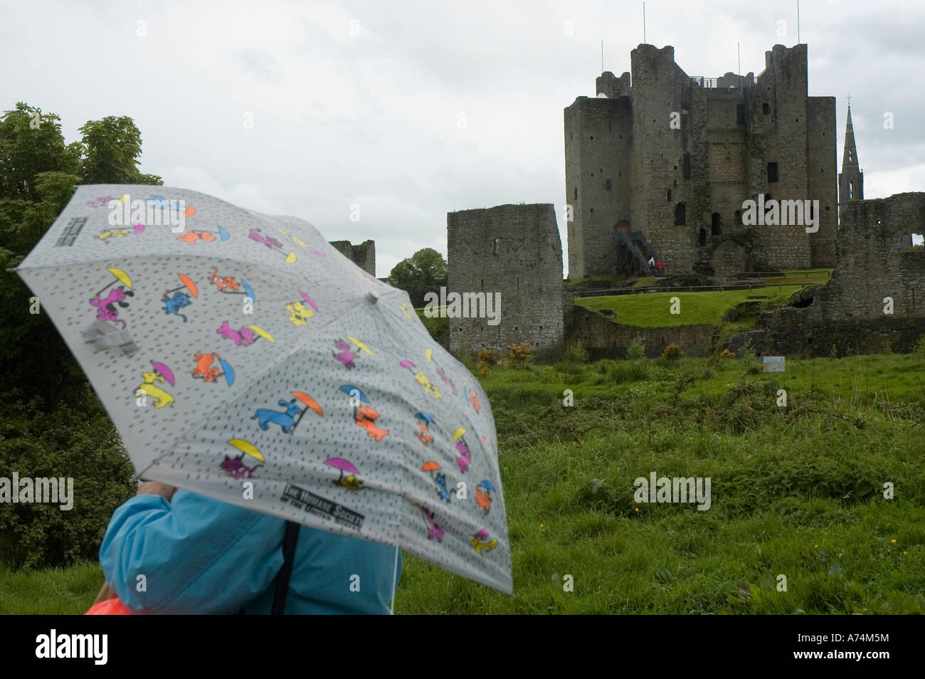 IRELAND Trim Castle Stock Photo - Alamy