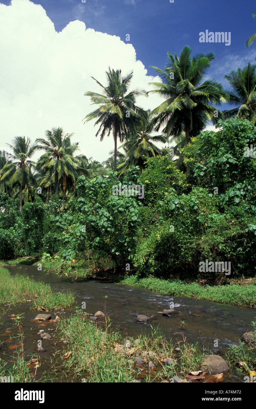 South Pacific Ocean, Marquesas Islands Stock Photo - Alamy