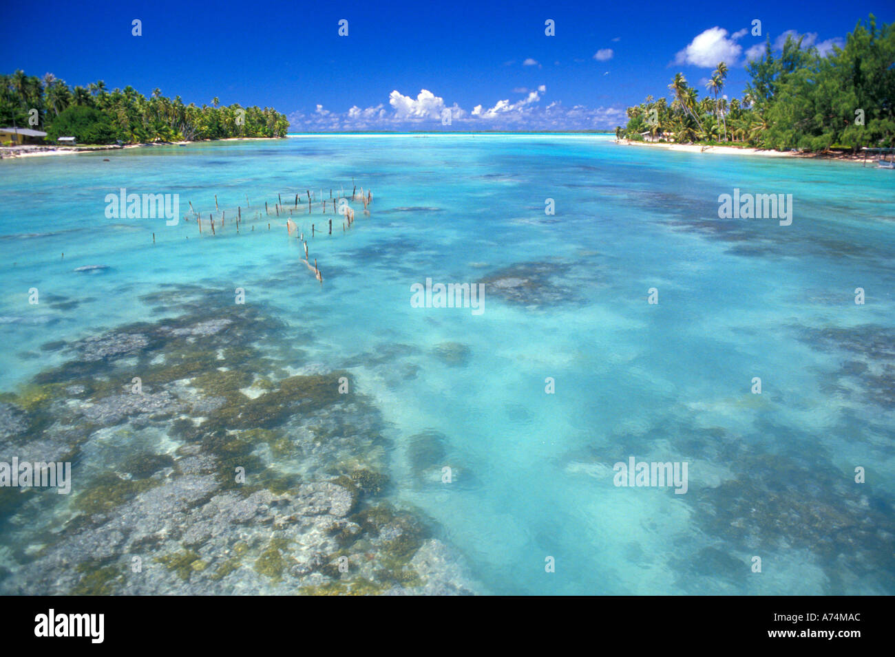 South Pacific, Tuamotu Archipelago, Tuamotus Stock Photo - Alamy