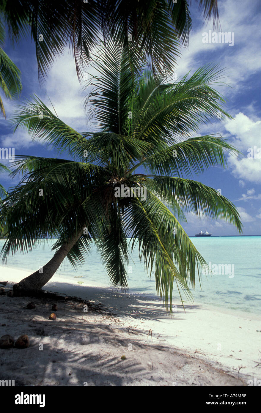 South Pacific, Tuamotu Archipelago, Tuamotus Stock Photo - Alamy