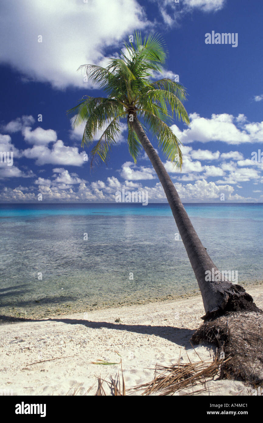 South Pacific, Tuamotu Archipelago, Tuamotus Stock Photo - Alamy
