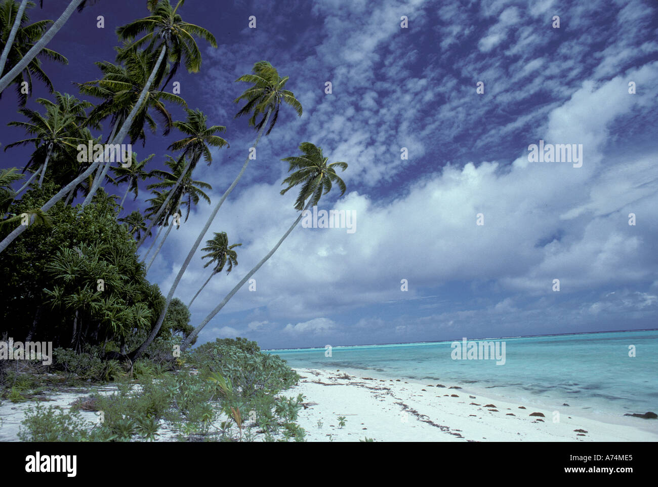 South Pacific, Cook Islands Stock Photo - Alamy