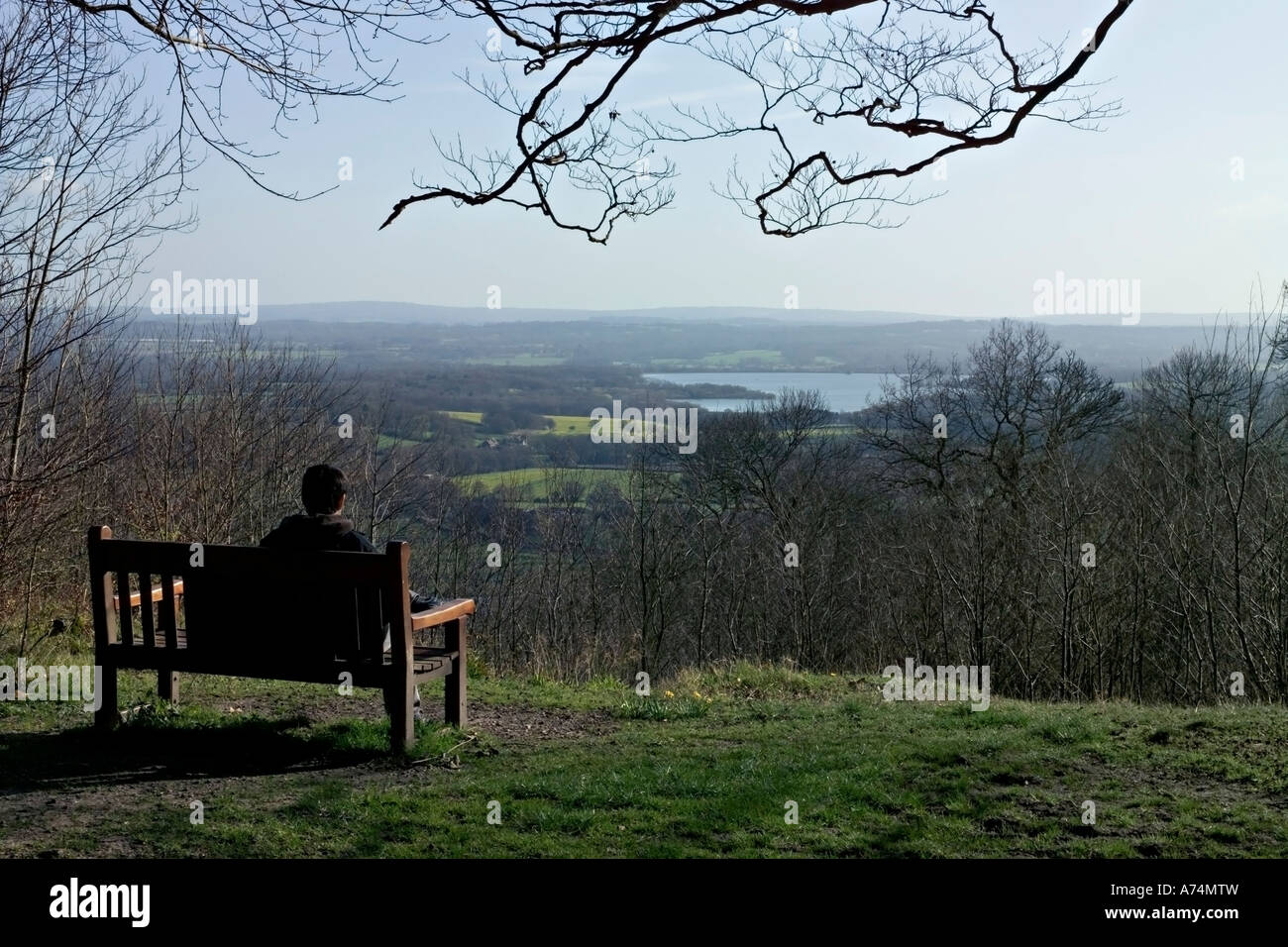 Bough beech reservoir hi-res stock photography and images - Alamy