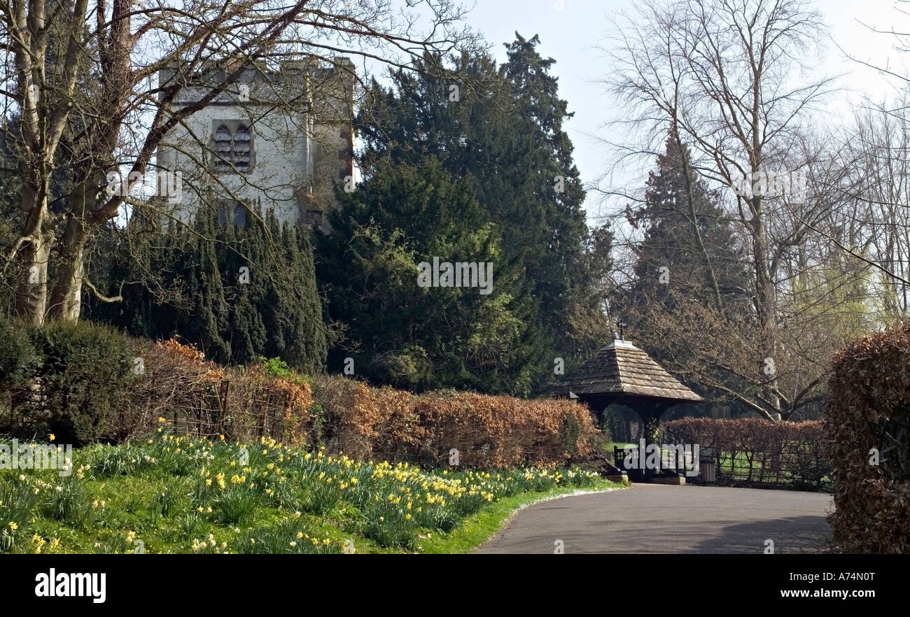 Ashtead surrey hi-res stock photography and images - Alamy