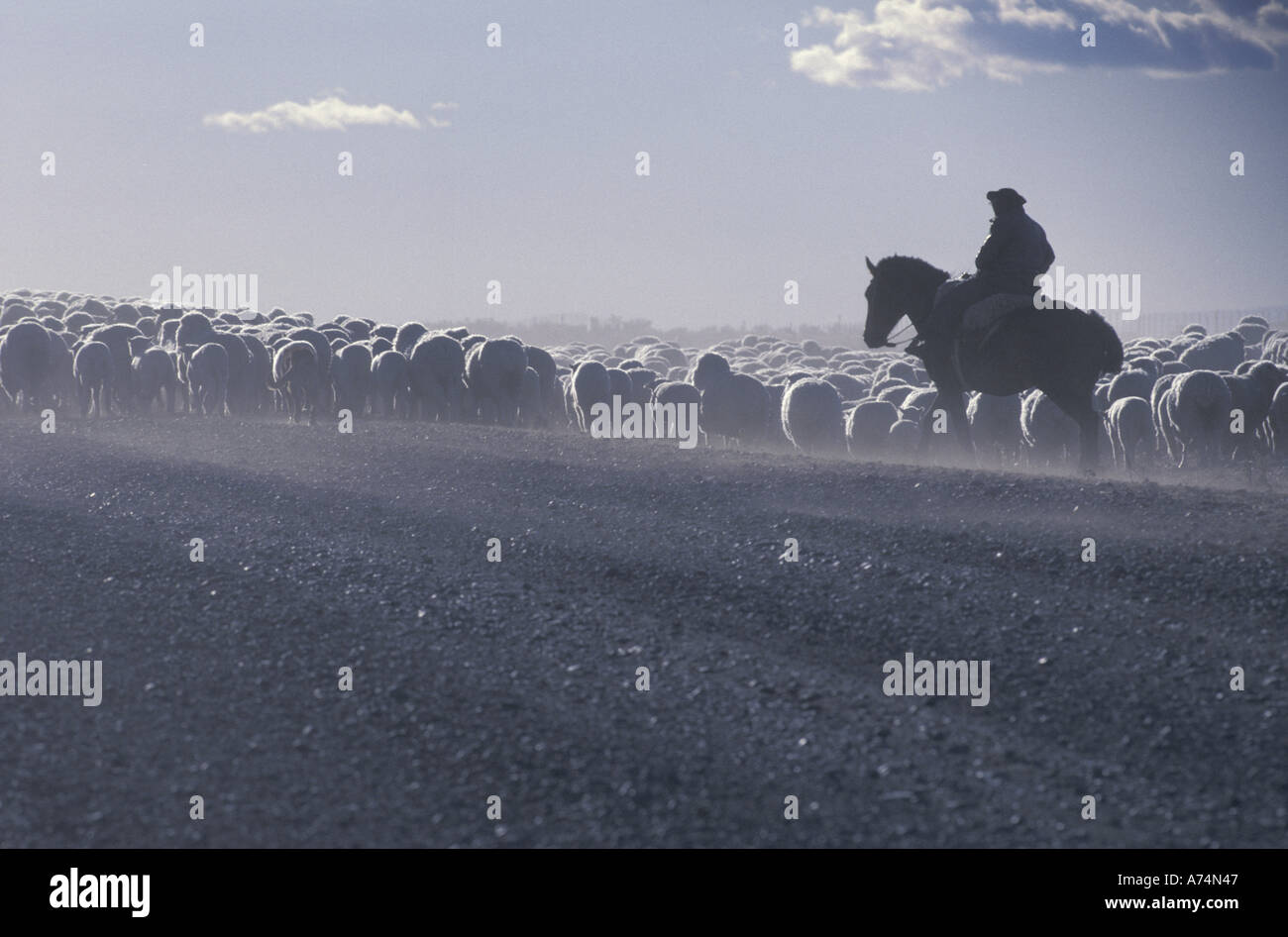 Patagonia gaucho argentina hi-res stock photography and images - Alamy