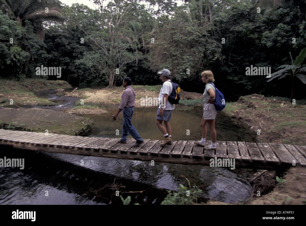 Central America, Belize Hiking in the Cockscomb Basin Jaguar Preserve ...