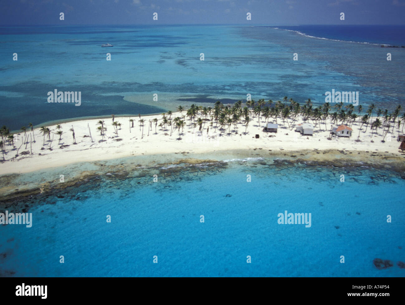 CA, Belize, Half Moon Cay in the Lighthouse atoll Stock Photo - Alamy
