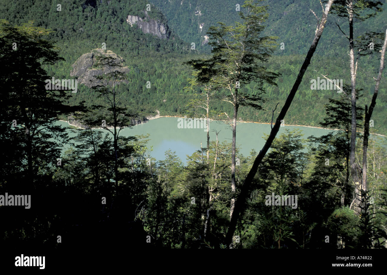 South America, Chile, Patagonia, Aisen, Queulat National Park, Tempanos ...