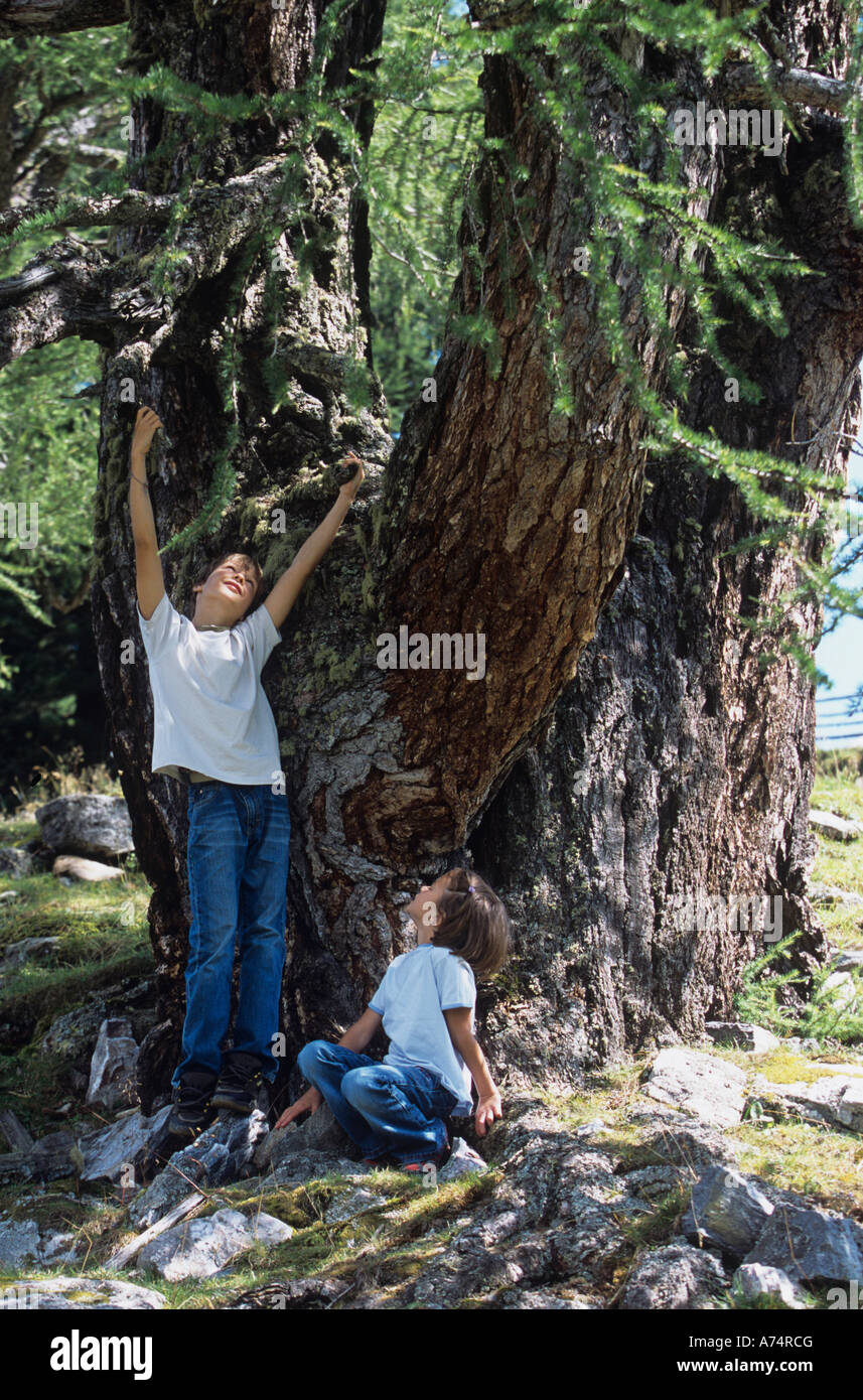 two children playing under large tree Stock Photo - Alamy