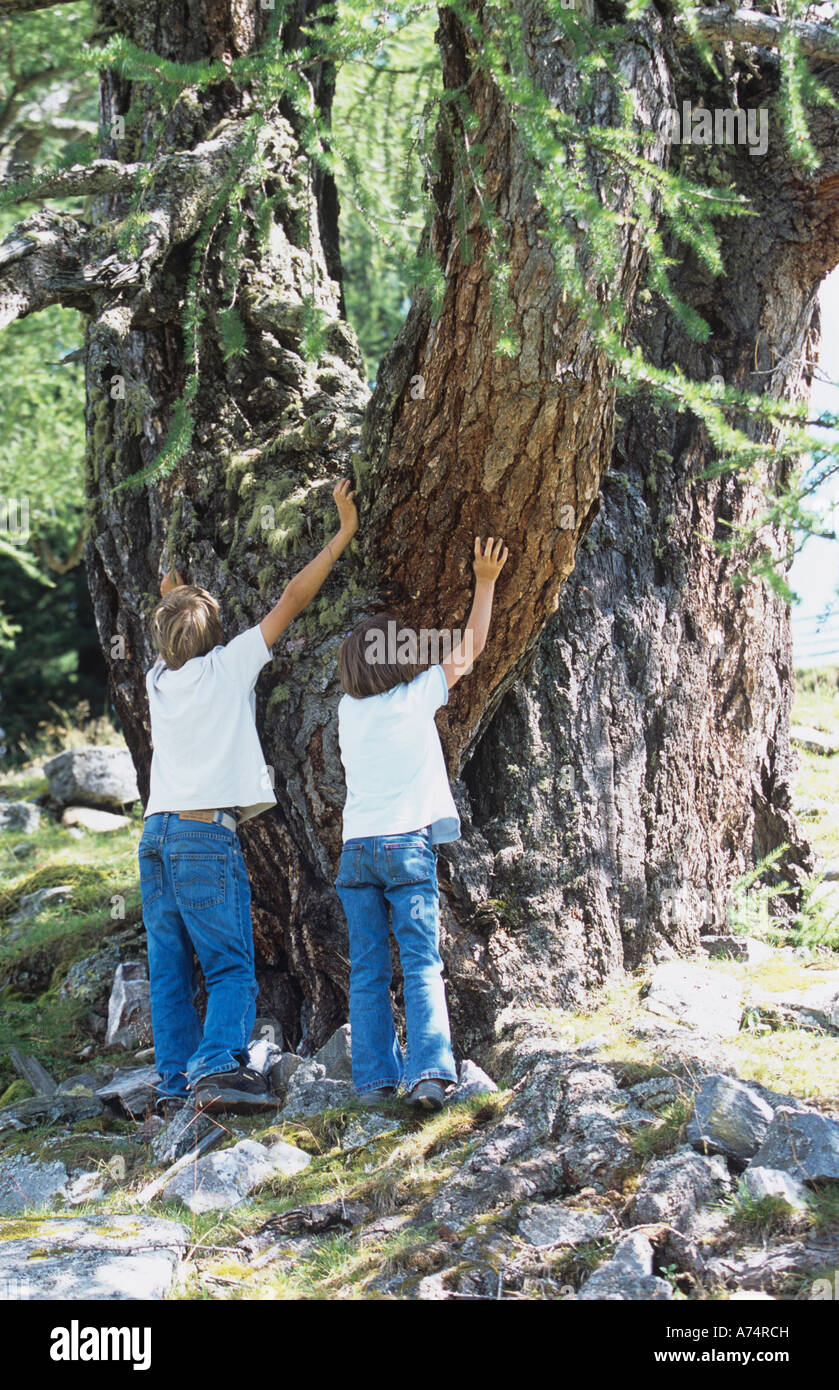 two children playing under large tree Stock Photo - Alamy