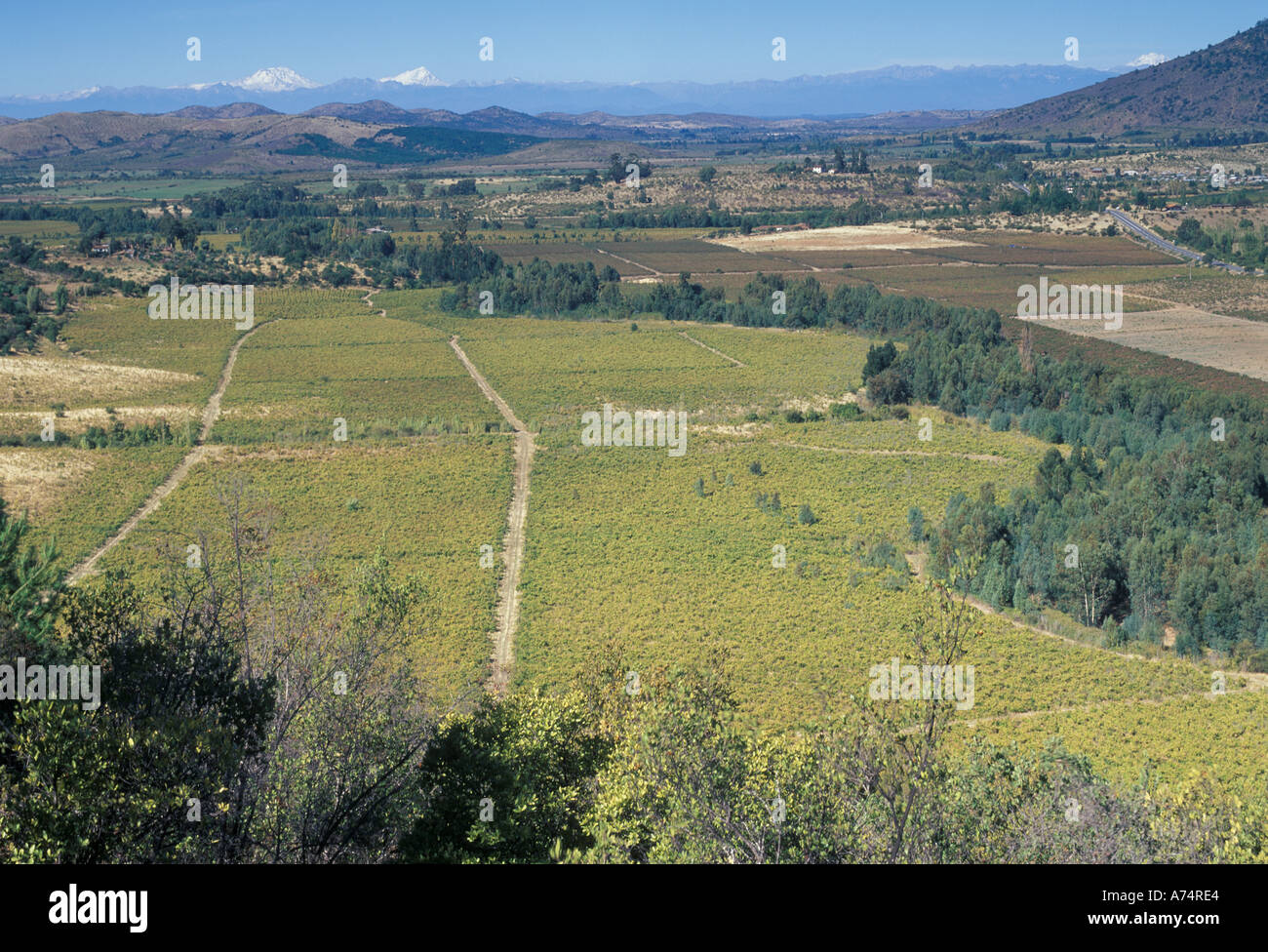Talca chile hi-res stock photography and images - Alamy