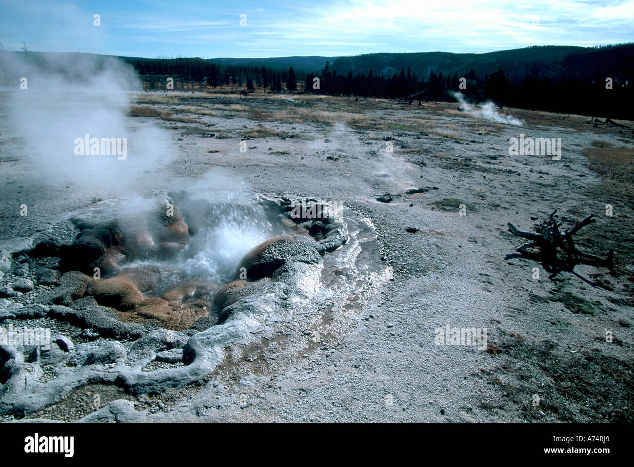 Thermal Vent Geyser Yellowstone National Park Yellowstone Orange Spring ...