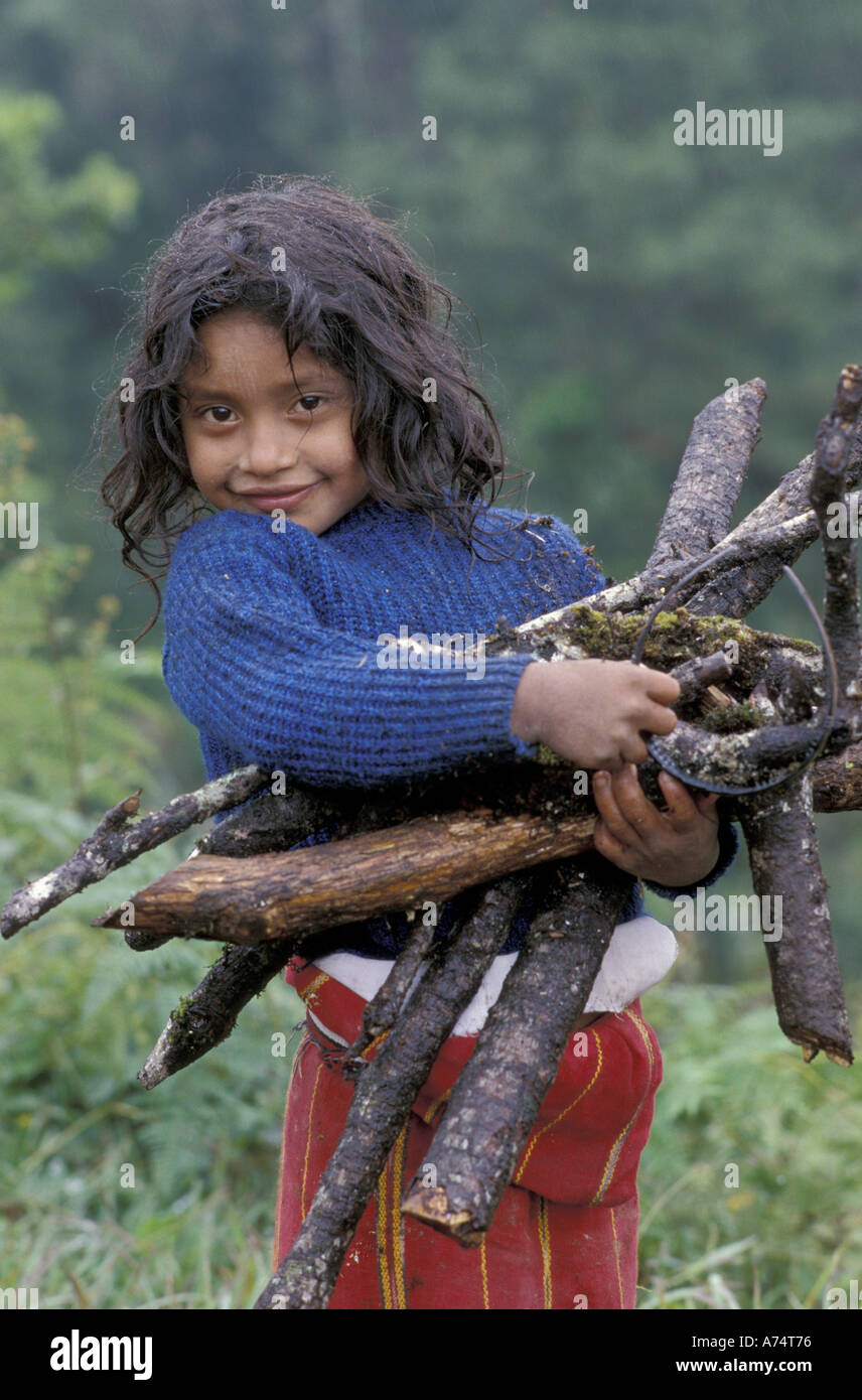 Central America, Guatemala, Ixil Triangle An Ixil tribal girl gathering ...