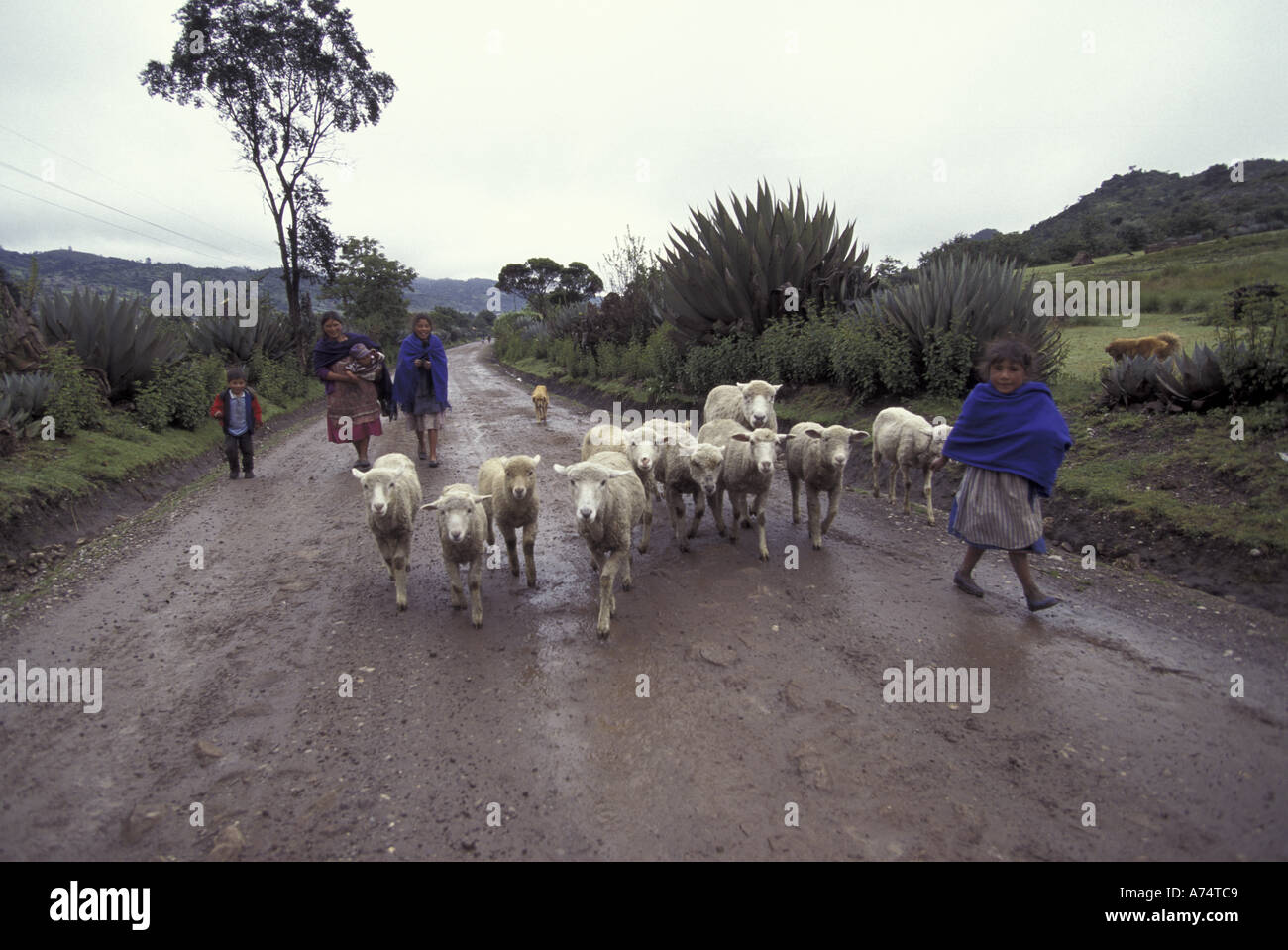 Central America, Guatemala, Western Highlands. View of the highlands ...