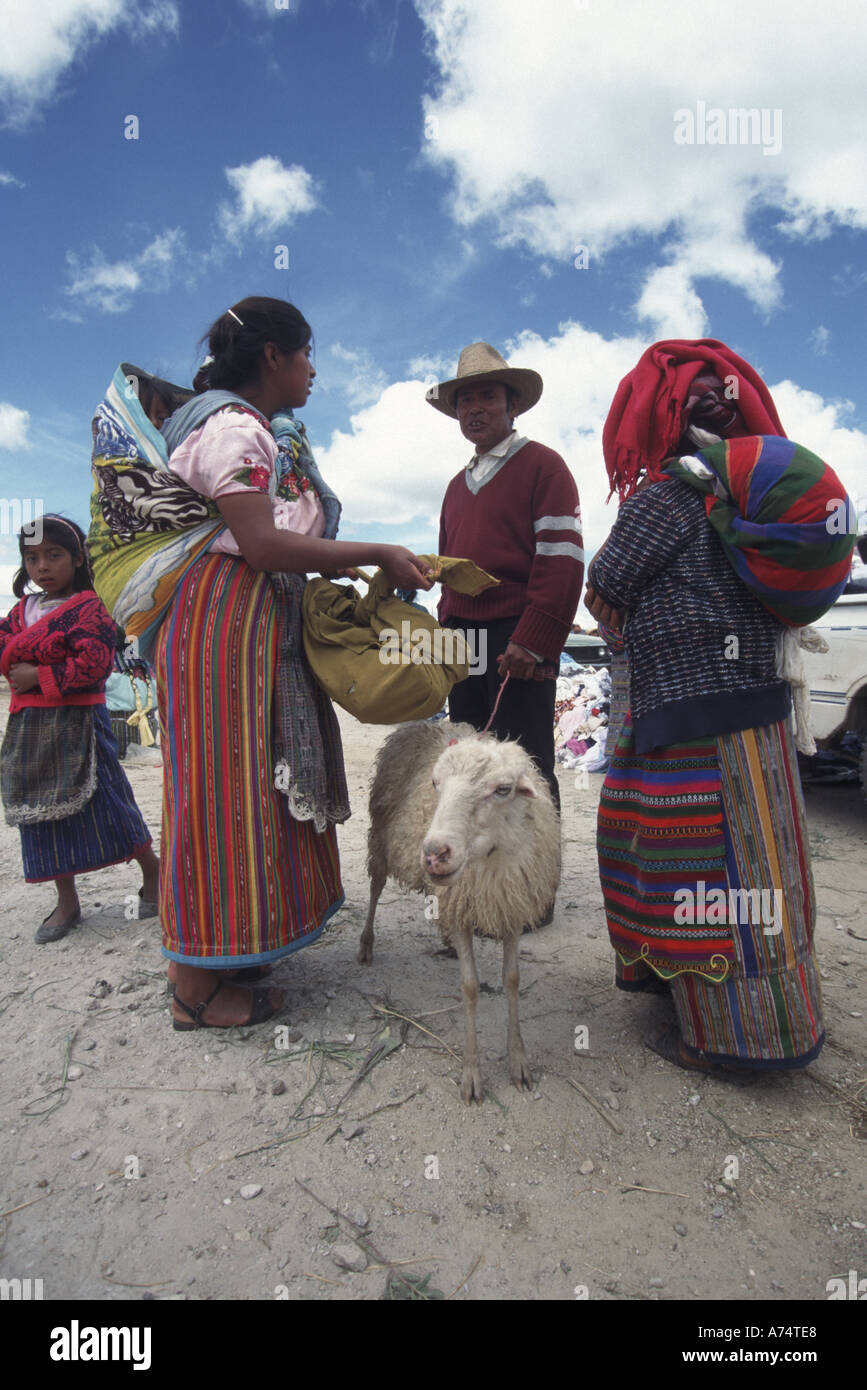 Child goat guatemala hi-res stock photography and images - Alamy