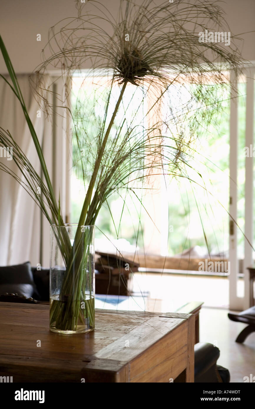 Plant in vase of water Stock Photo - Alamy