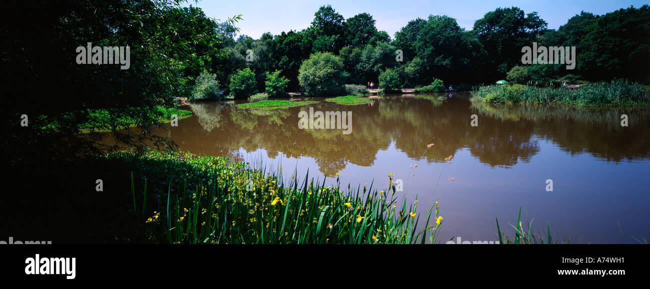 The stew ponds hi-res stock photography and images - Alamy
