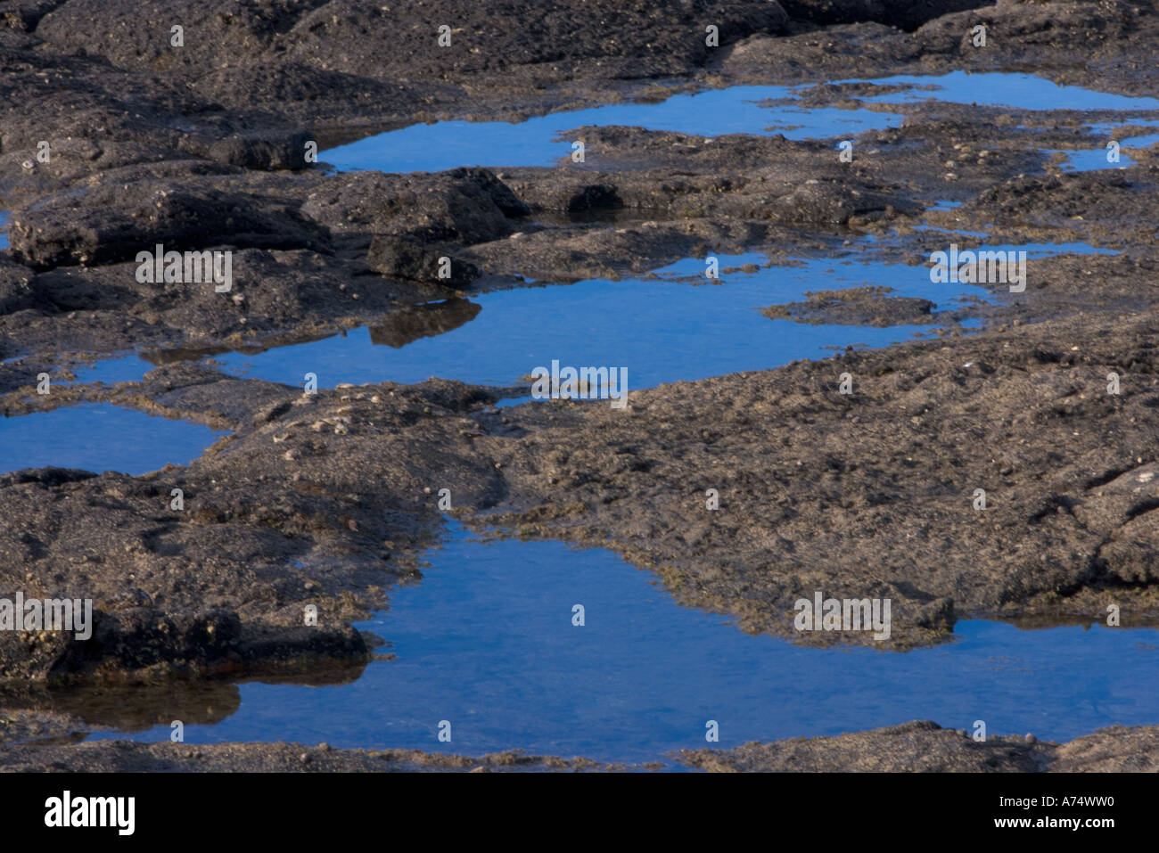 Milford beach auckland hi-res stock photography and images - Alamy