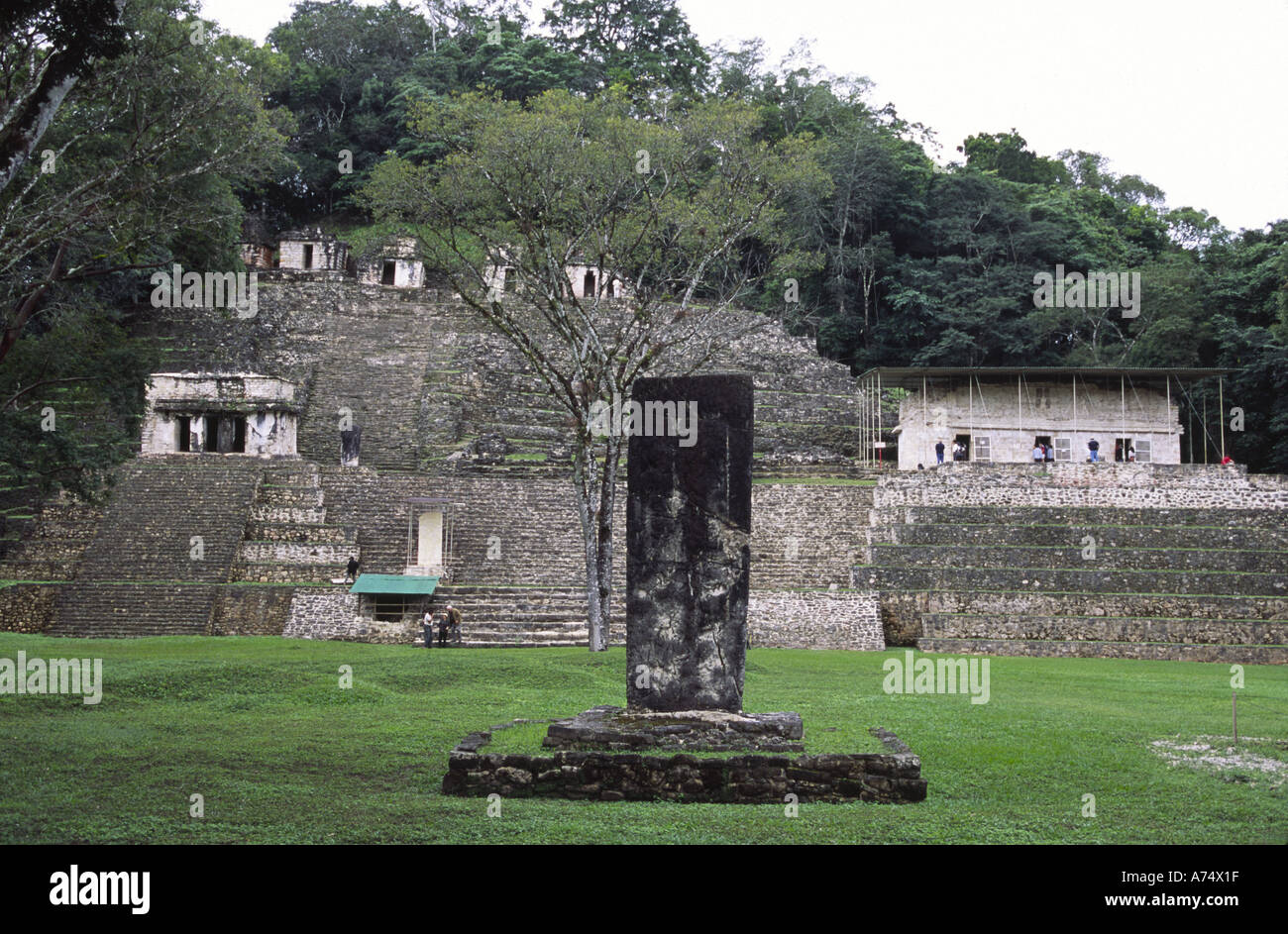 Mexico, Chiapas, Ocosingo, Bonampak Mayan Ruins. South buildings viewed ...