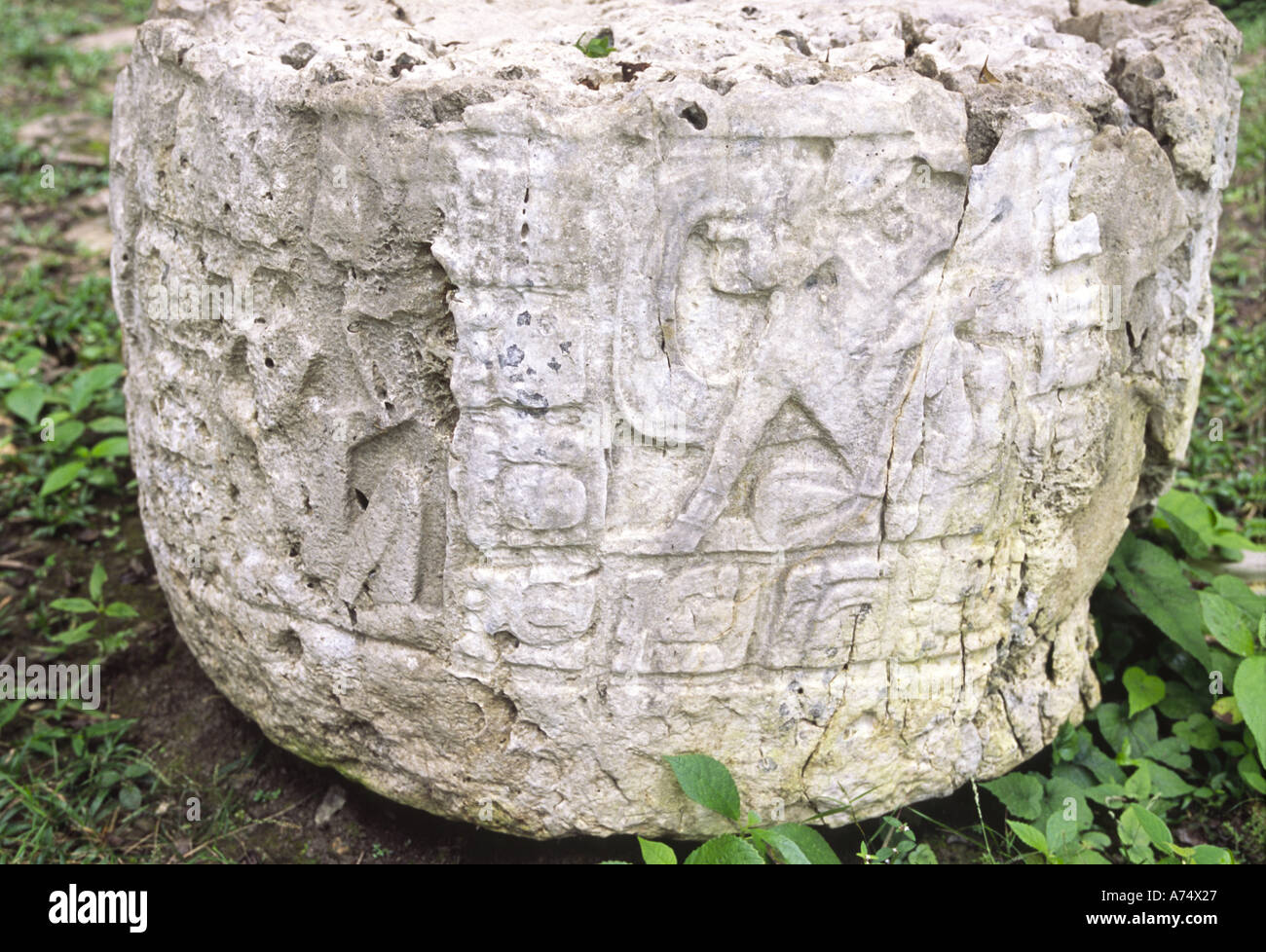 Mexico, Chiapas, Ocosingo, Yaxchilan Mayan Ruins. Carved sacrificial ...