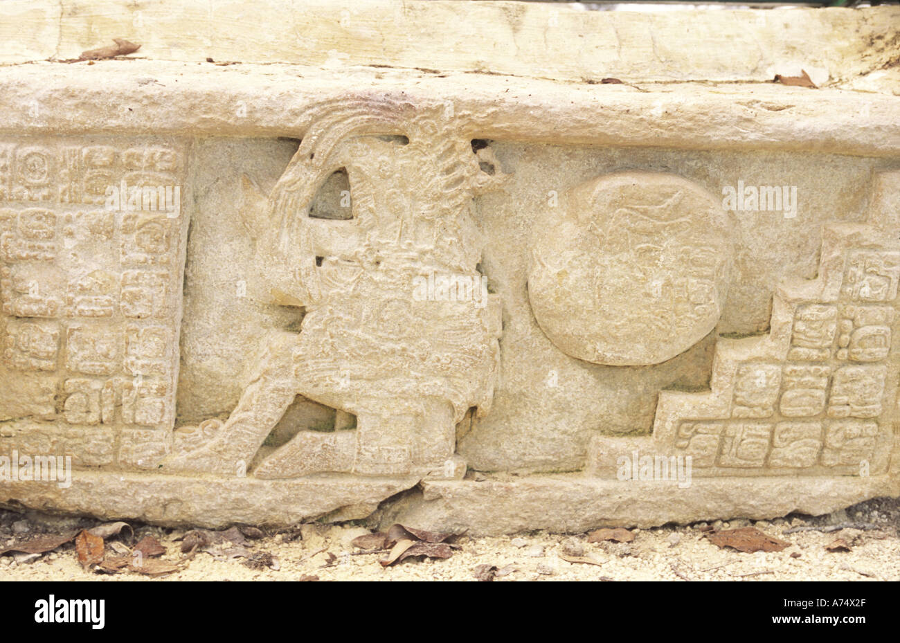 Mexico, Chiapas, Ocosingo, Yaxchilan Mayan Ruins. Relief carvings on ...