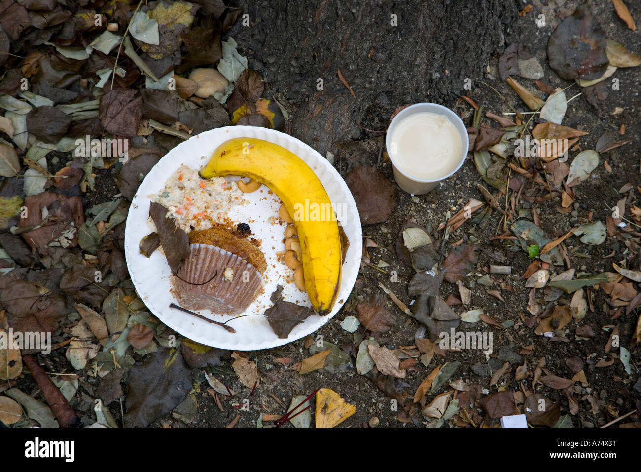 plate of food and drink discarded as trash Stock Photo - Alamy