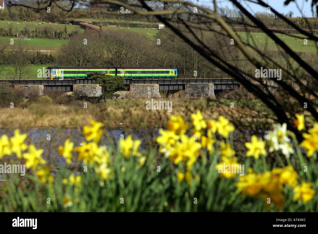 A train winds through countryside between Exeter and Exmouth Stock ...