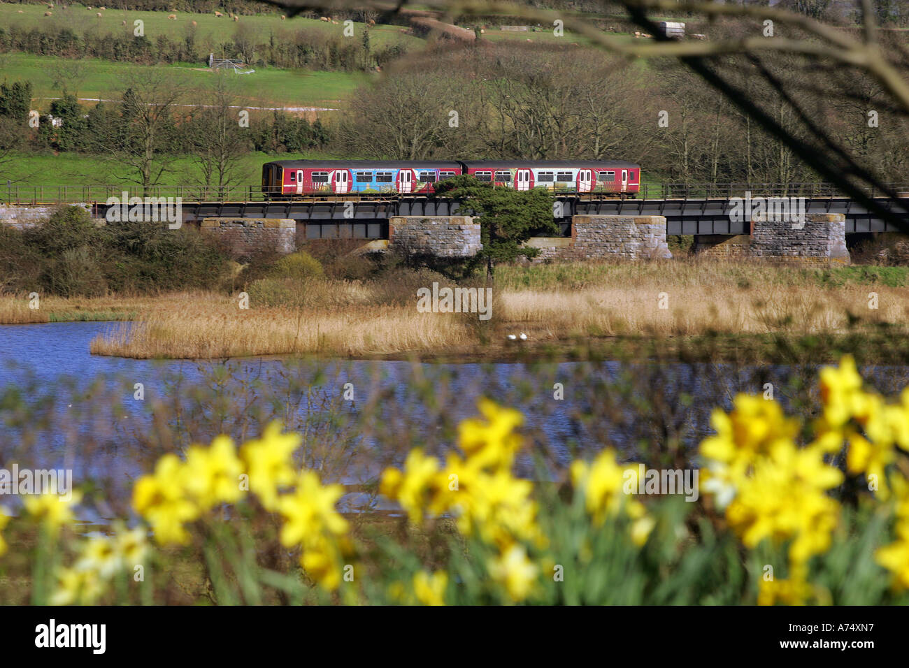 Exeter to exmouth rail railway hi-res stock photography and images - Alamy