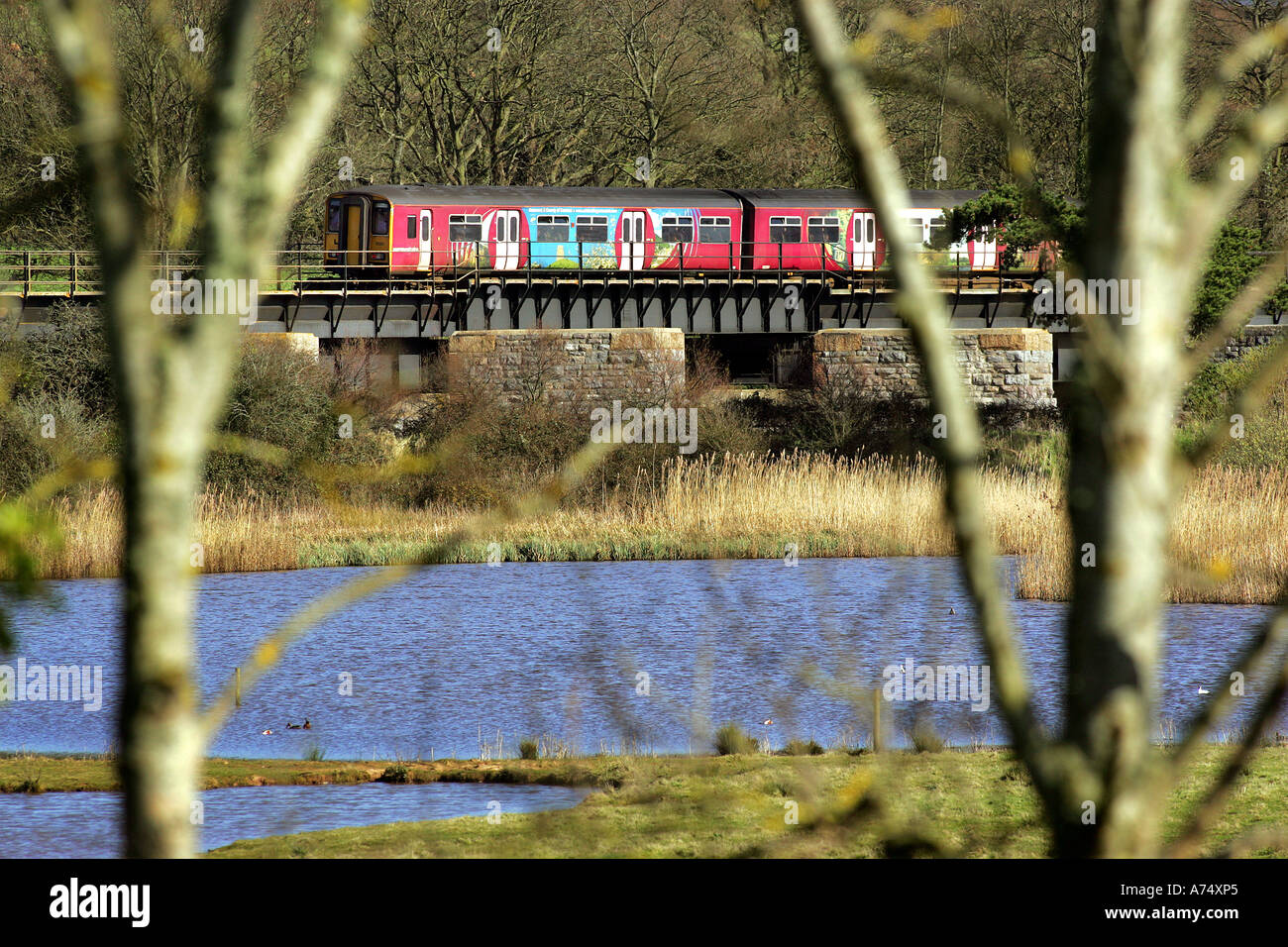 Exeter to exmouth rail railway hi-res stock photography and images - Alamy
