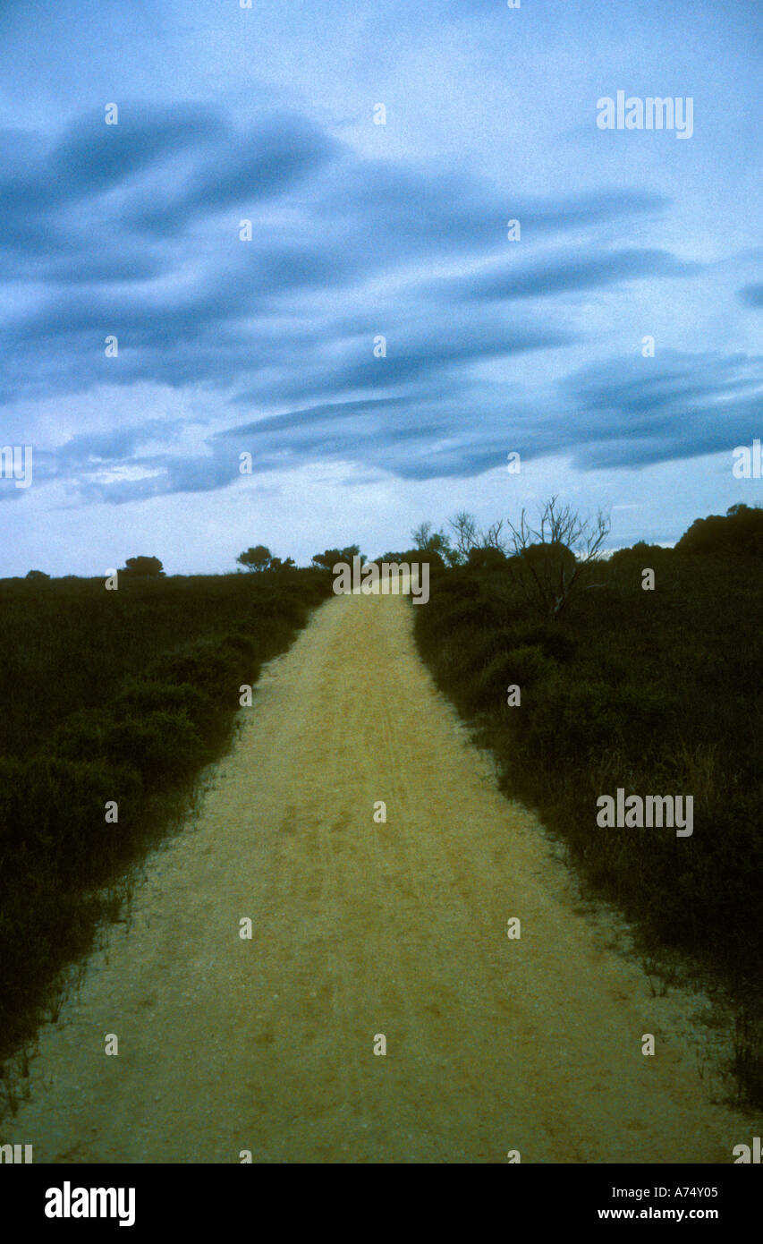 Sandy path at twilight leading to the beach in Anglesea along the Great ...