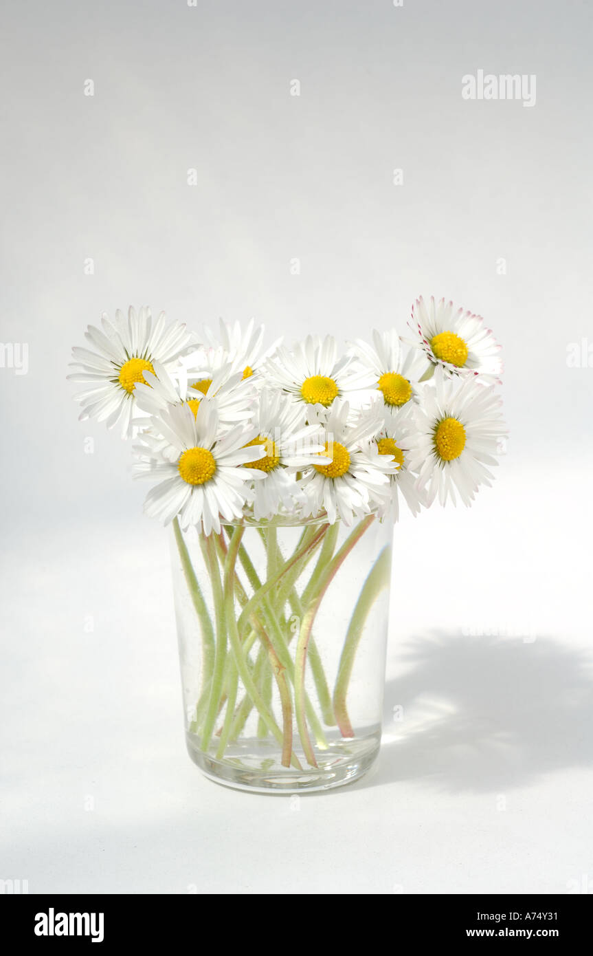 Simple posy hi-res stock photography and images - Alamy