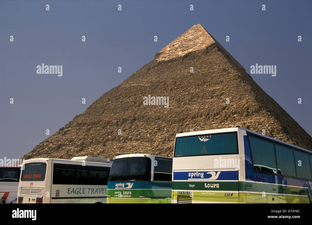 Tour busses parked near the Great Pyramids of Giza Cairo EGYPT Stock ...