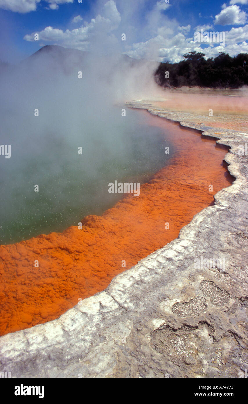 The Champagne Pool at Rotorua NEW ZEALAND Stock Photo - Alamy