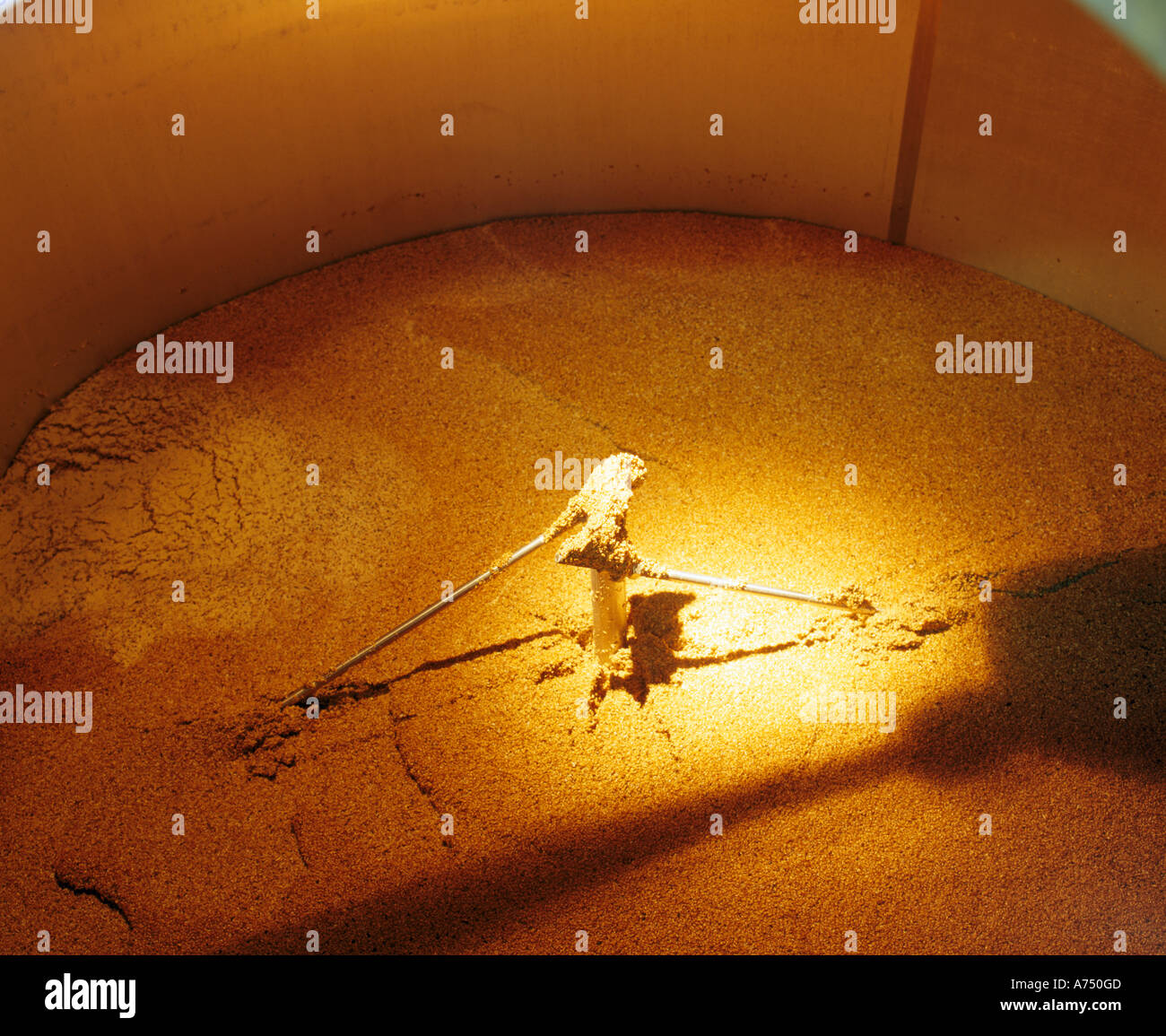 Rotating rakes stirring the malt in the mash tun at Jennings Brothers ...