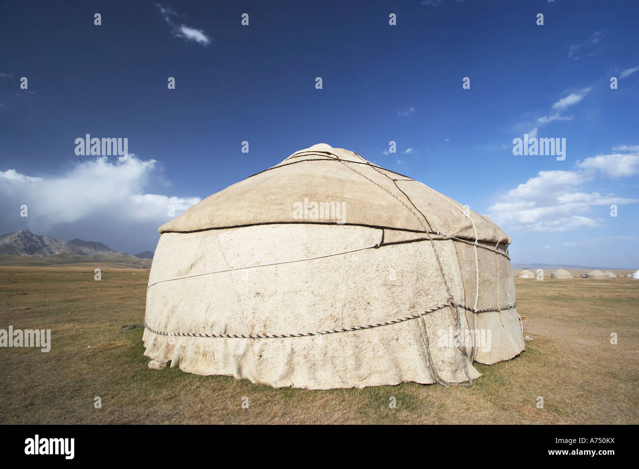 Single Yurt In Pasture Stock Photo - Alamy
