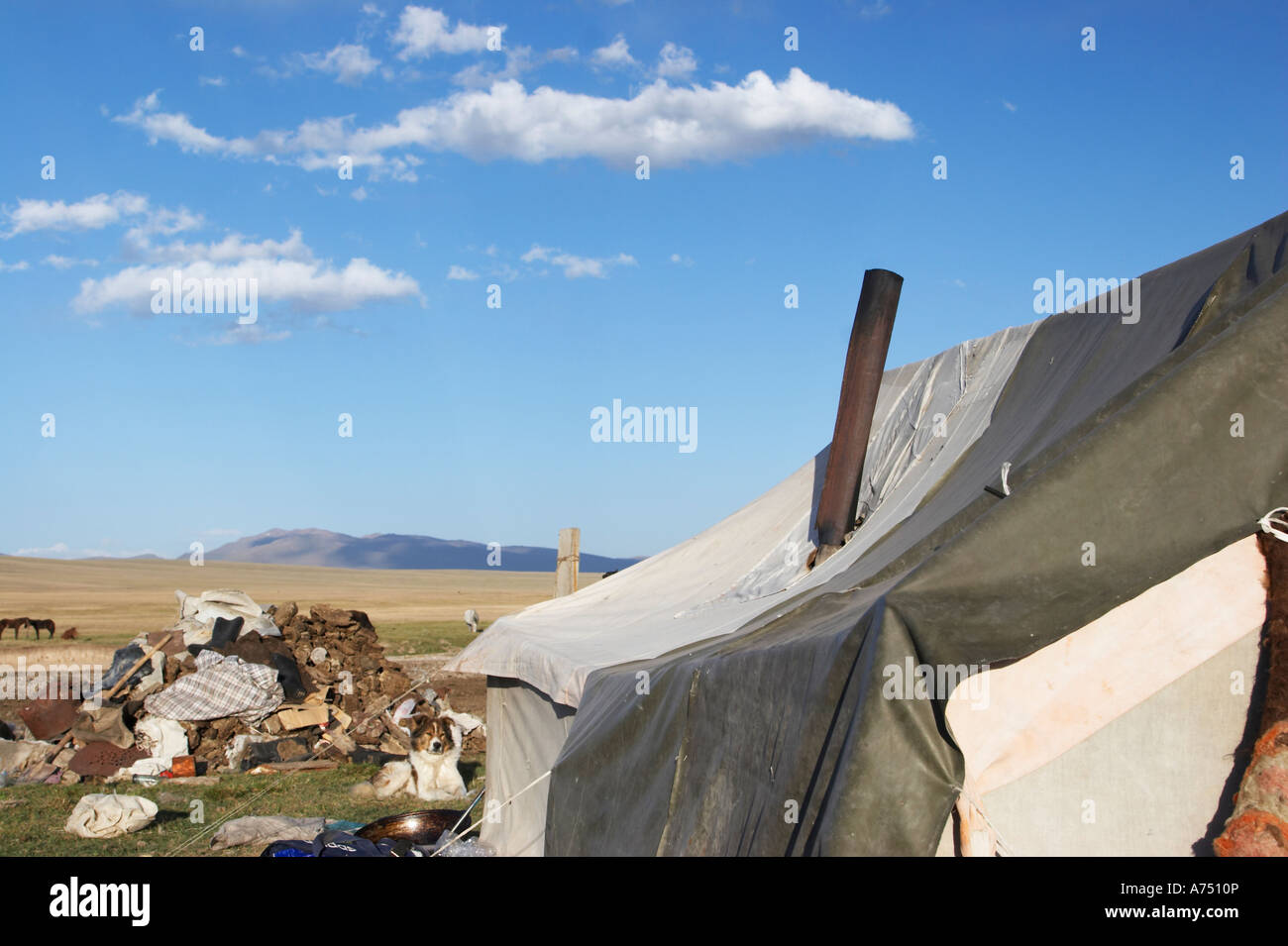Kyrgyz herder tent hi-res stock photography and images - Alamy