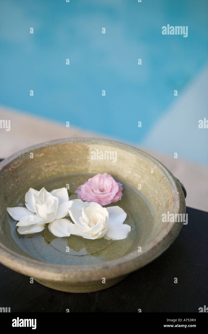 Flowers floating in bowl of water Stock Photo - Alamy