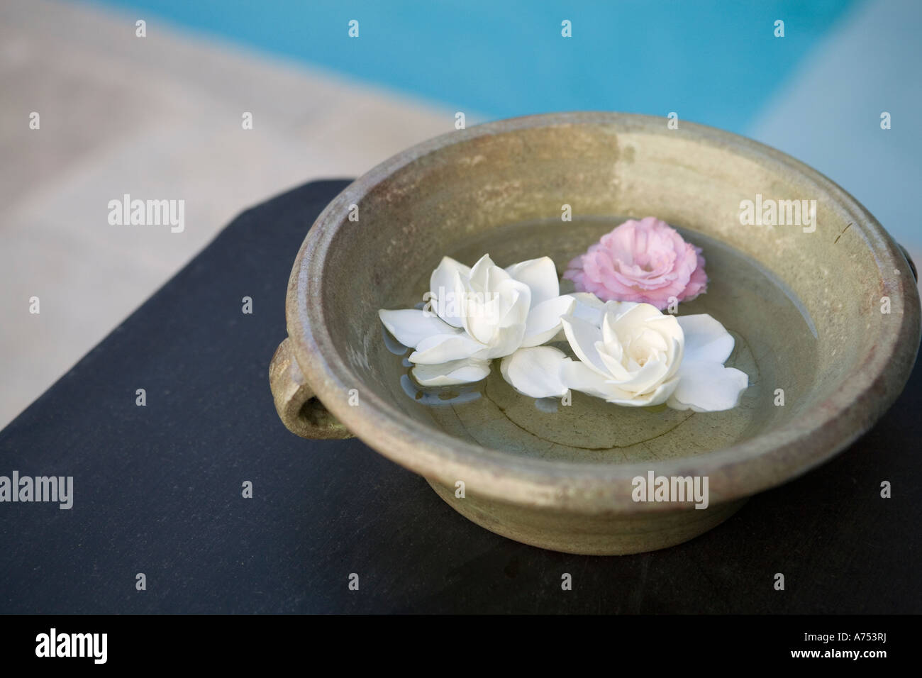 Flowers floating in bowl of water Stock Photo - Alamy