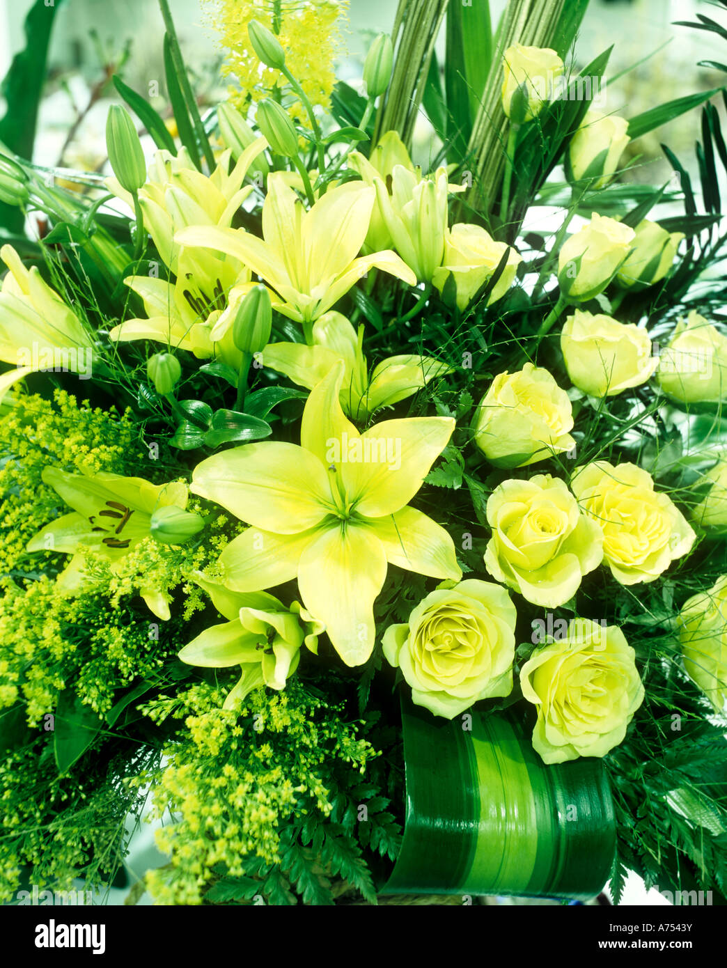 EXHIBITION OF FLOWERS AT INTERNATIONAL CONVENTION CENTRE DOHA QATAR ...