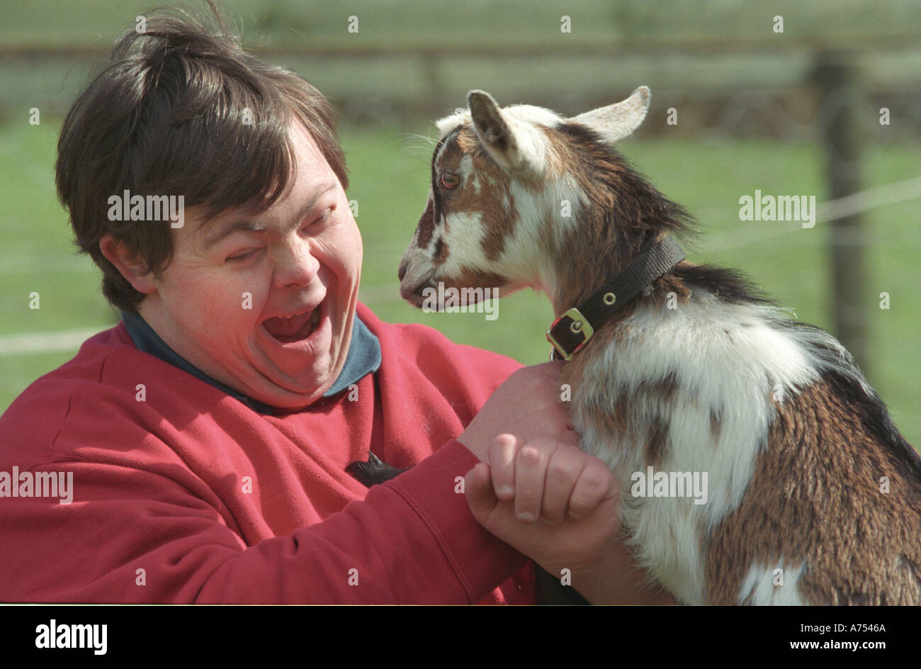 Goat child uk hi-res stock photography and images - Alamy