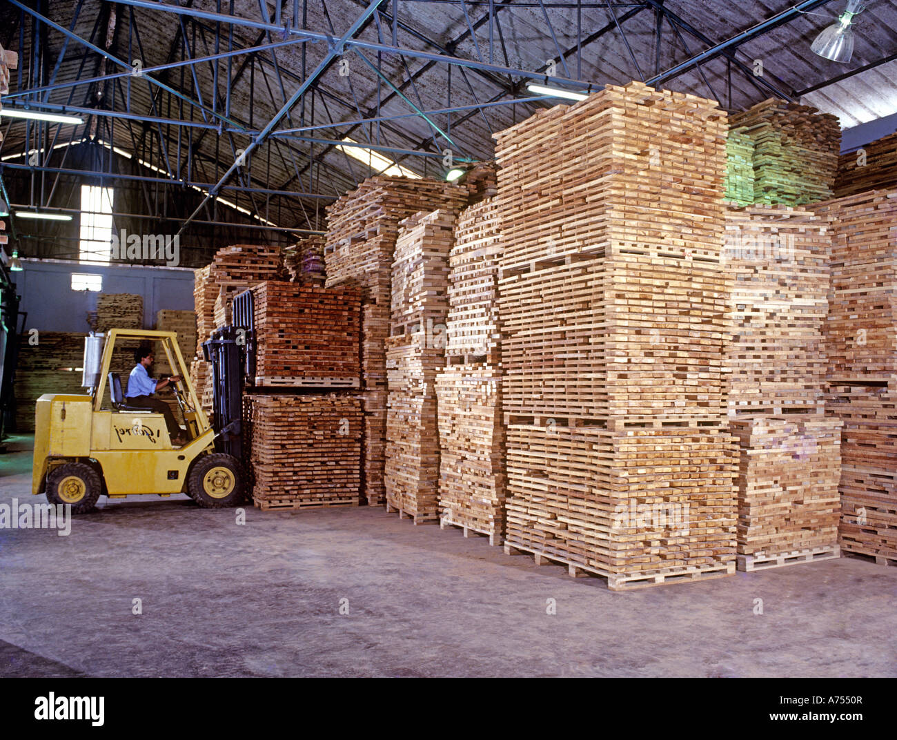 RUBCO RUBBER WOOD PROCESSING IN THALASSERY KERALA Stock Photo - Alamy