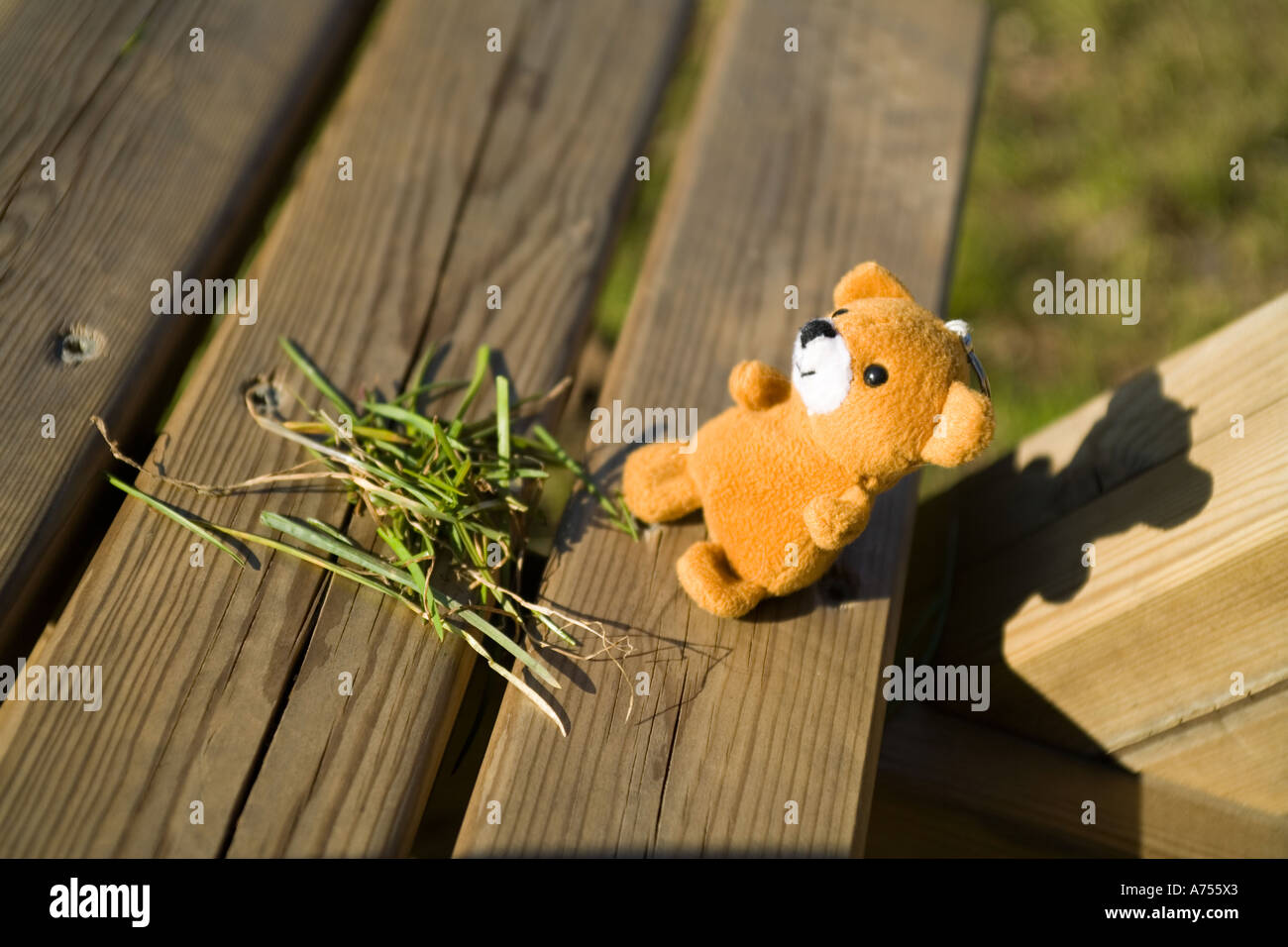 Children feeding teddy bear hi-res stock photography and images - Alamy