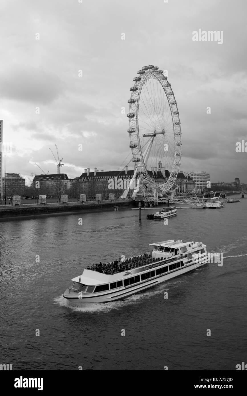 English seagull Black and White Stock Photos & Images - Alamy