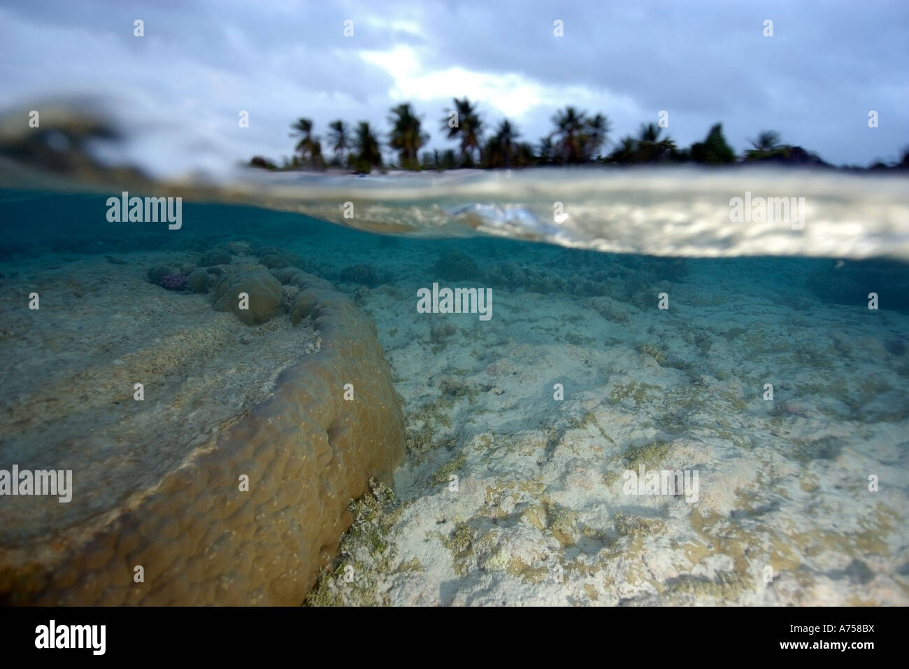 Split Image Of Pristine Coral Reef And Island Rongelap Atoll Marshall Islands Micronesia Stock