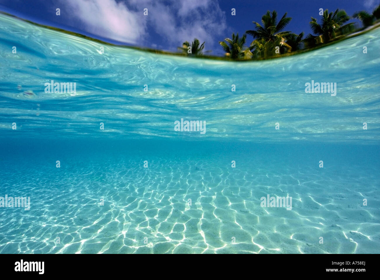 Split image of sand bottom and island Rongelap Atoll Marshall Islands ...