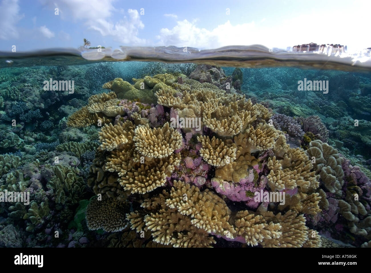 Split Image Of Pristine Coral Reef And Sky Rongelap Atoll Marshall Islands Micronesia Stock