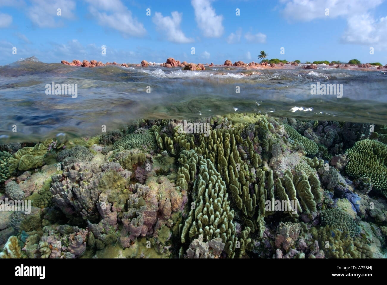 Rongelap hi-res stock photography and images - Alamy