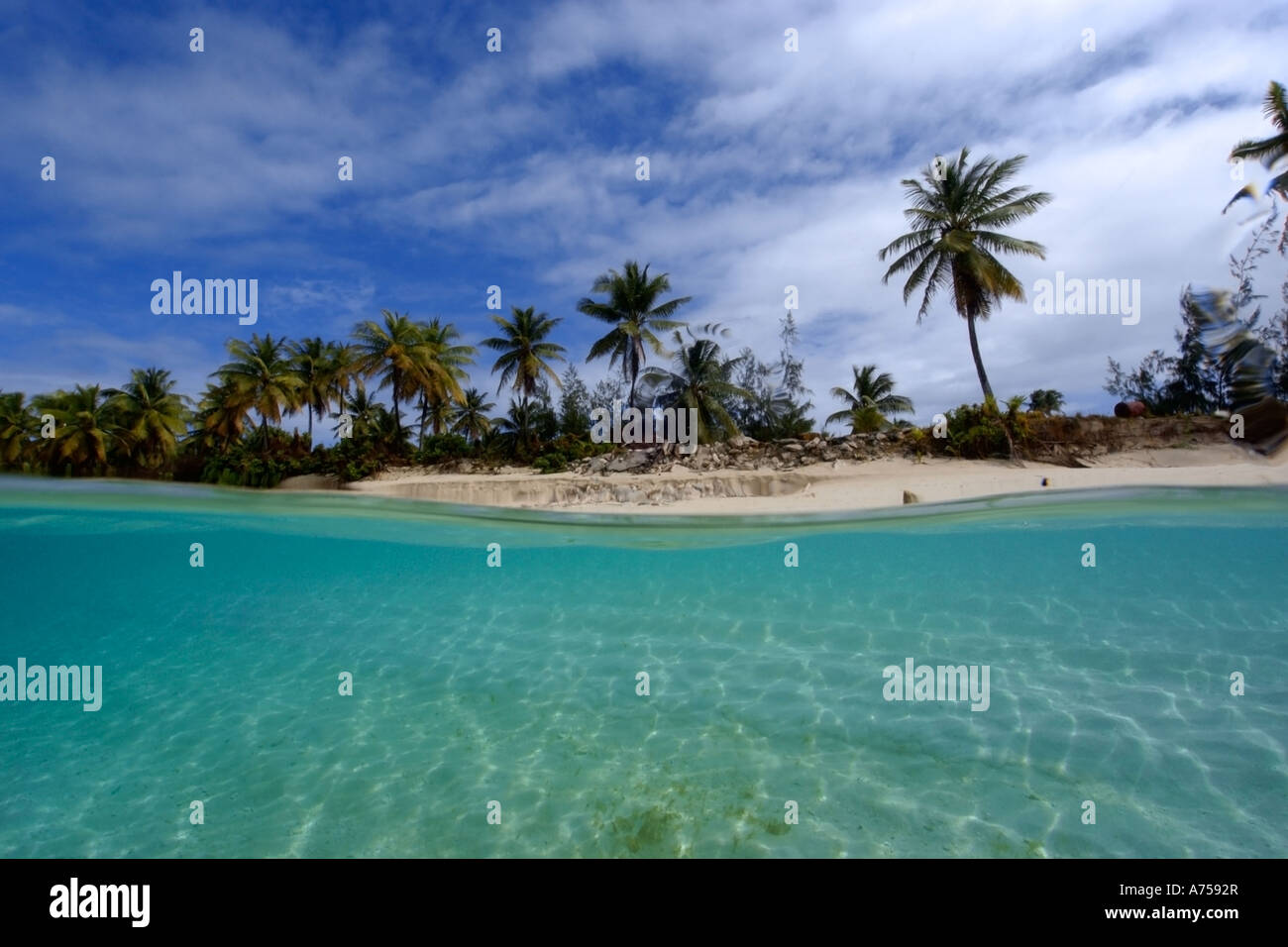 Split image of sand bottom and island Rongelap Atoll Marshall Islands ...