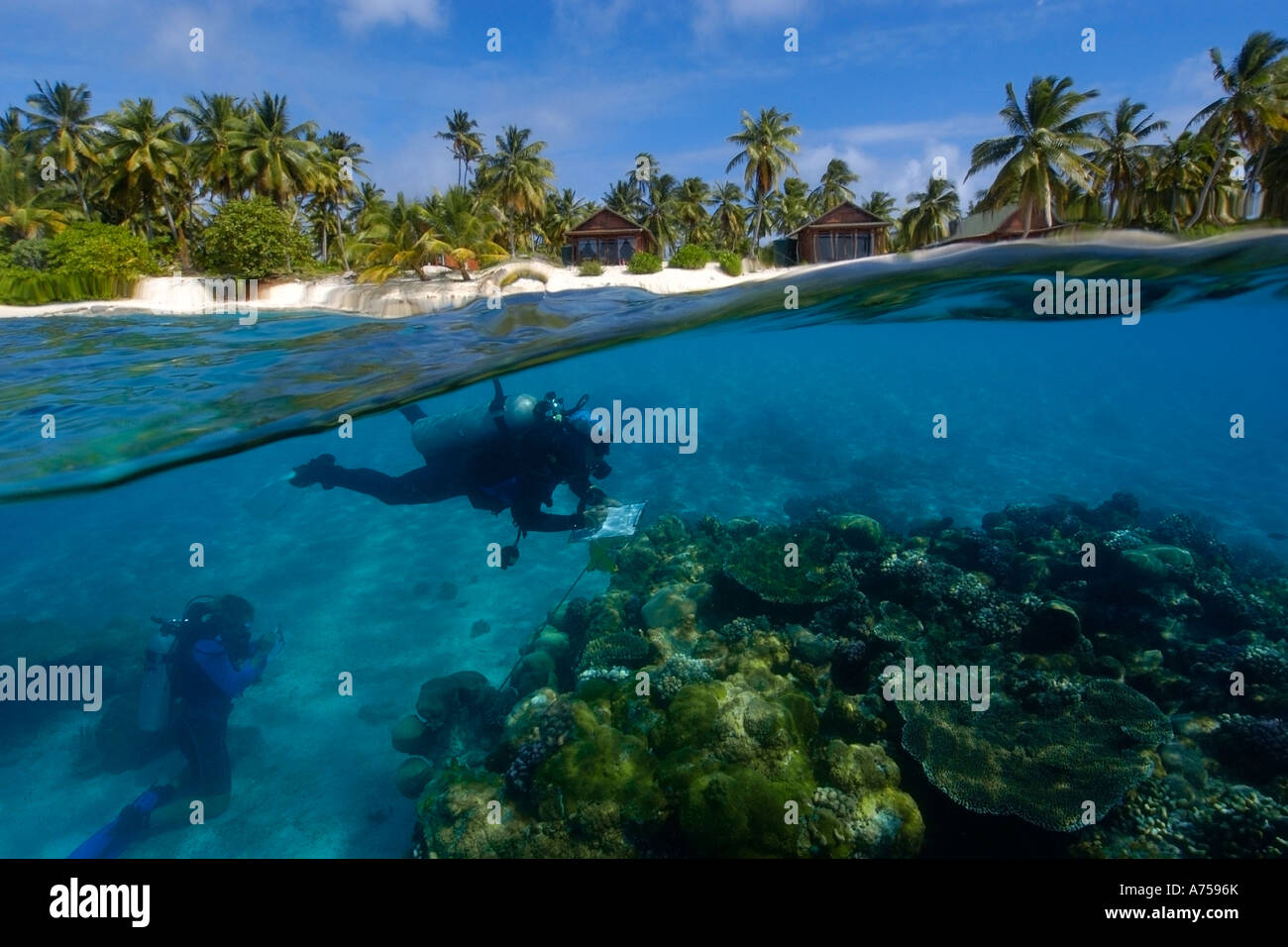 Split image of pristine coral reef and island Rongelap Atoll Marshall ...