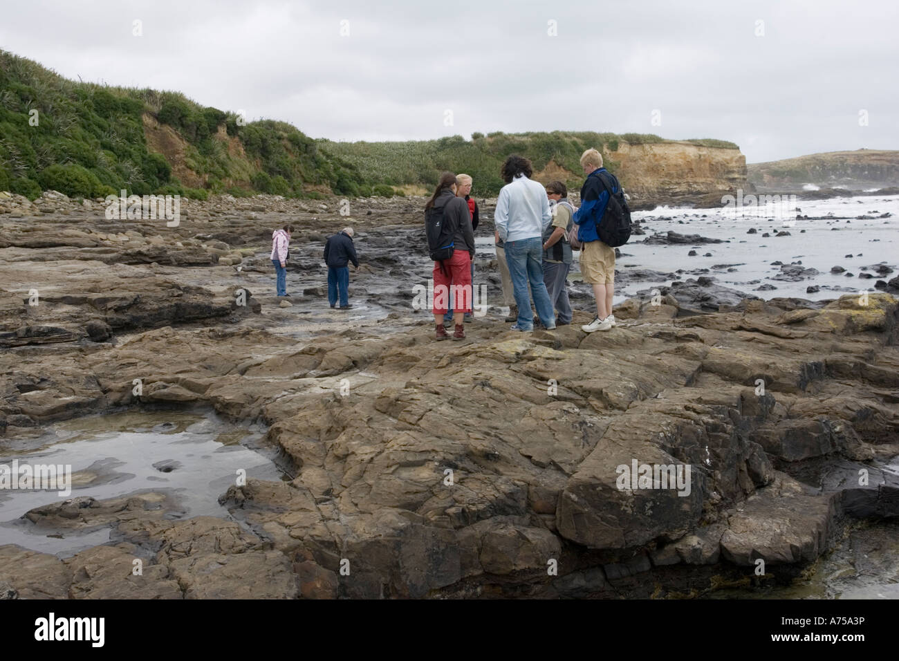 Searching fossil hi-res stock photography and images - Alamy